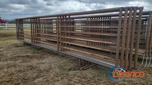 24' Corral Panel w/ Gate: 5'6 Tall